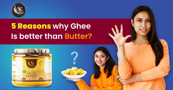 5 Reasons Why Ghee Is Better Than Butter? – Shive Farms